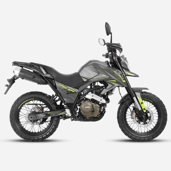 Tekken Evo 250 cc - Daytona