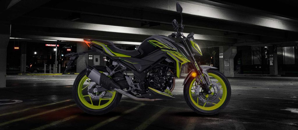 Super Wolf 300 CC - Daytona