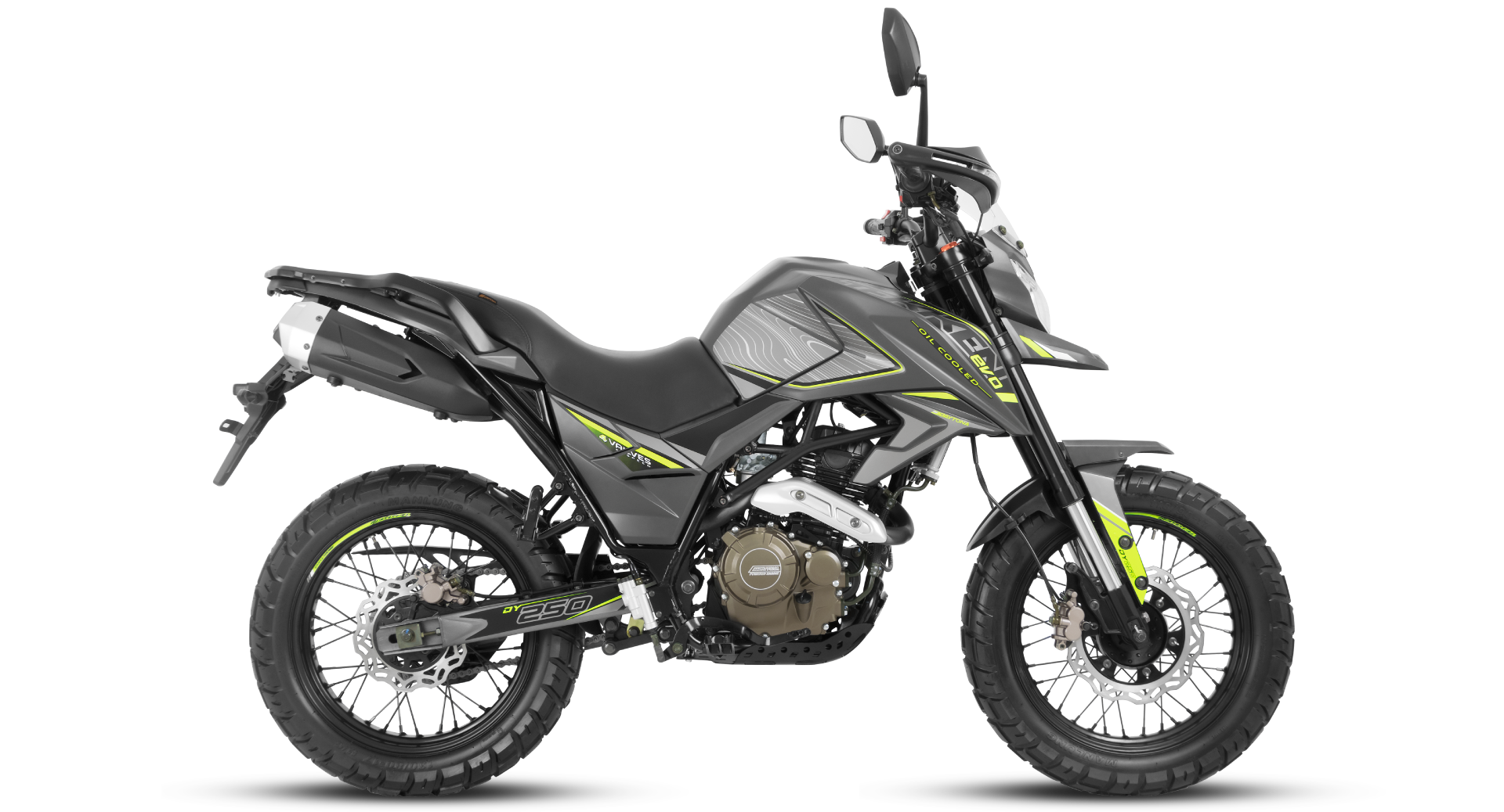 Tekken Evo 250 cc - Daytona