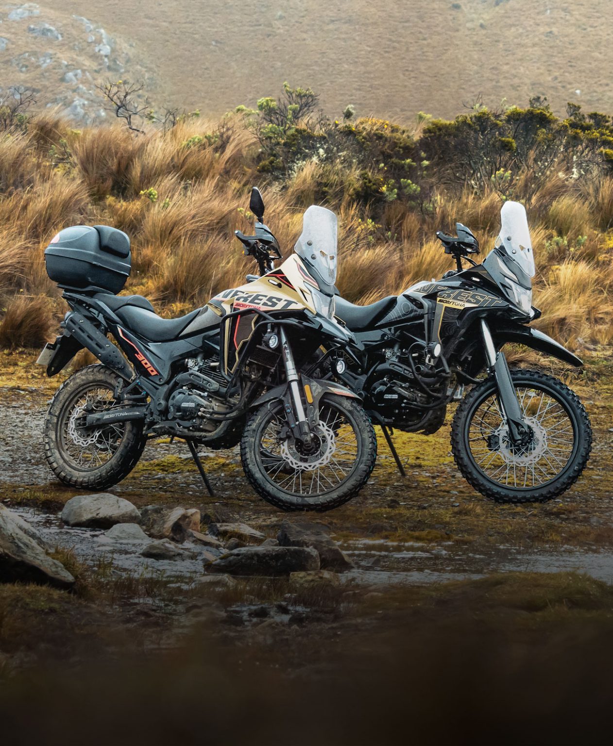 EVEREST DUAL SPORT 300 CC - Daytona